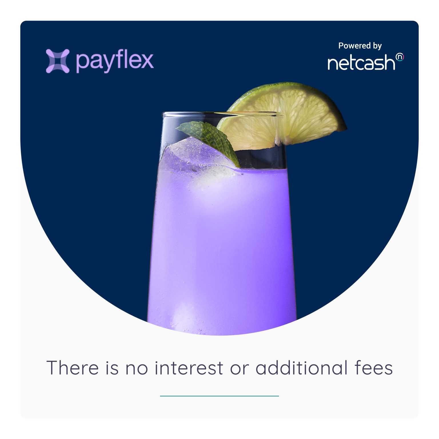 Payflex Marketing Material - Netcash